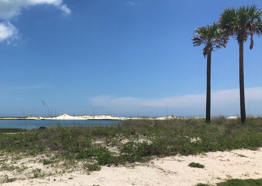 Huguenot Memorial Park, a Jacksonville, Florida hidden beach treasure!